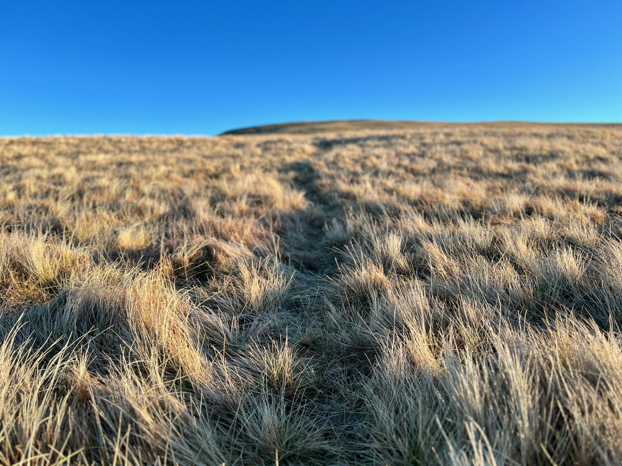 What is Effortless Leadership? - Health for Success